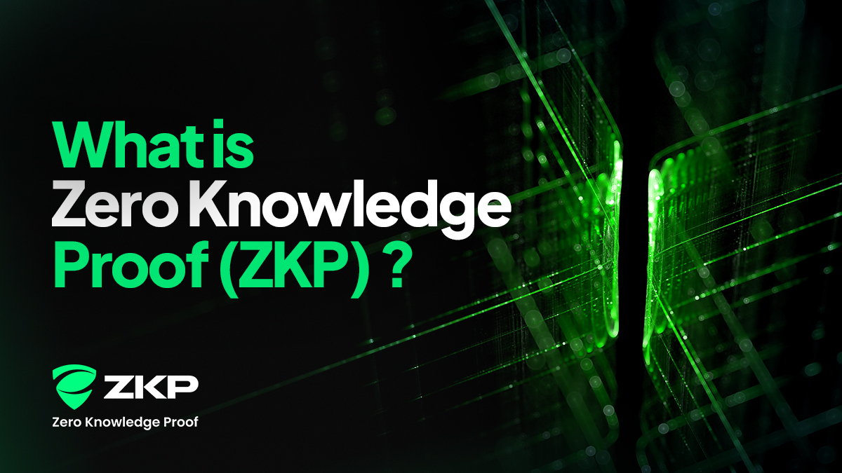 What Is Zero Knowledge Proof (ZKP): The Blockchain That Protects ...